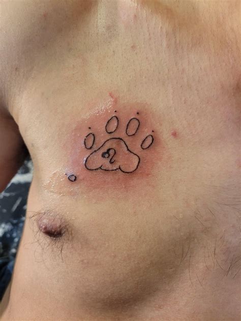 Hey So How Do I Get Jellyfin To Show My Updated Content I Have A Flac Library That Works