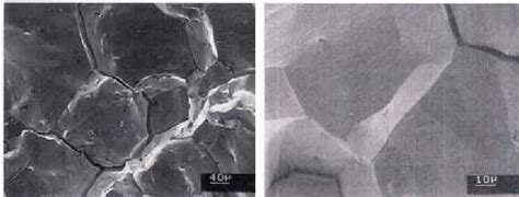 Sem Micrographs Of The Creep Fracture Surface Of Udimet 520 A In Air Download Scientific
