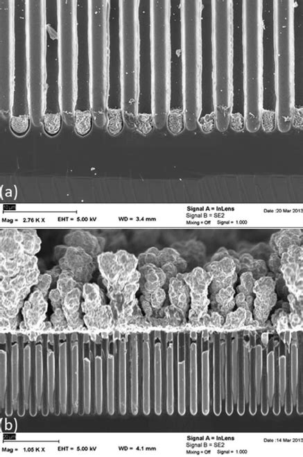 Cross Sectional Scanning Electron Micrograph Of Electrodeposited Copper