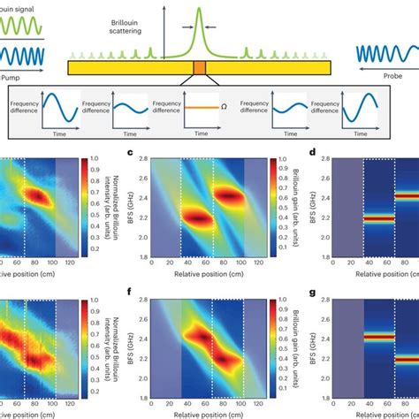 Distributed Brillouin Measurements A Scheme Of Bocda A Download Scientific Diagram