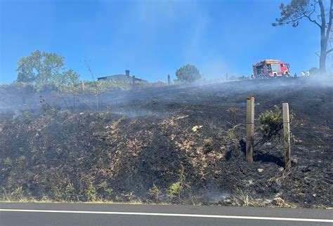 Un Incendio Forestal Calcina 3000 Metros Cadrados E Obriga A Cortar O