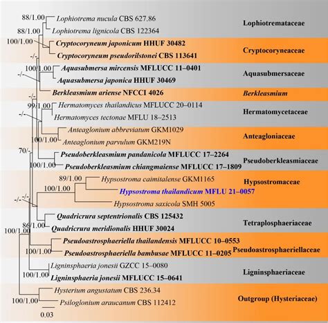 Figure 1 From Mycosphere Notes 325 344 Novel Species And Records Of