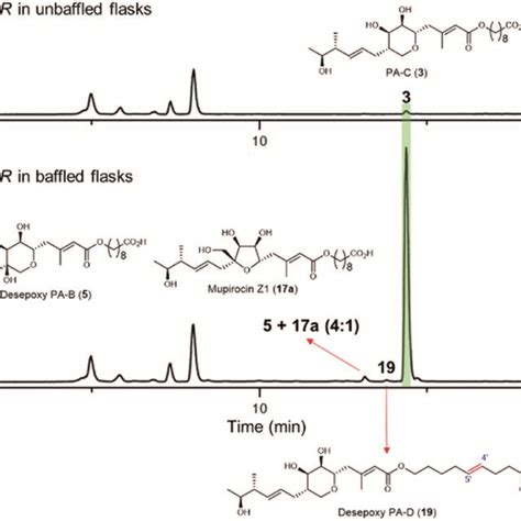 Hplc Trace Of The MmpeΔor Mutant Cultured In Baffled Flasks Compared To Download Scientific