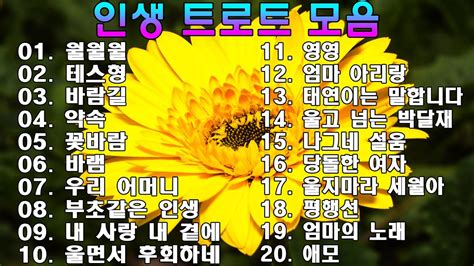 인생 트로트 모음 트로트 신곡 메들리 Playlist Youtube