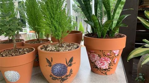 다이소화분에 식물을 심어요 Youtube 동양화