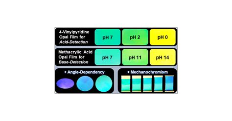 Poly4 Vinylpyridine And Polymethacrylic Acid Particle Architectures For Ph Responsive And