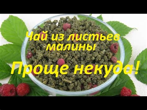 Чай из листьев малины.Самый простой способ ферментации. - YouTube