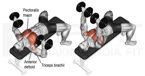 Dumbbell Bench Press Form Benefits And Mistakes Life Fit