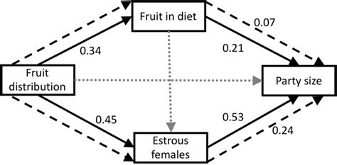 Path Analysis Diagram Indicating Directional Relationships Between The Download Scientific