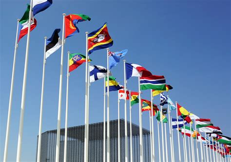 What Is Flag Theory And How Can It Benefit Entrepreneurs No Borders