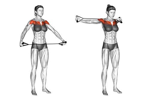 Shoulder Tendonitis 5 Stretches And 5 Exercises With Pictures Inspire Us