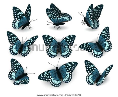 Set Blue Butterflies Flying Different Directions Stock Vector Royalty