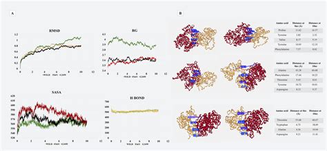 A Comparison Of Molecular Docking Simulation Of Pkcι Wild Type And Download Scientific Diagram