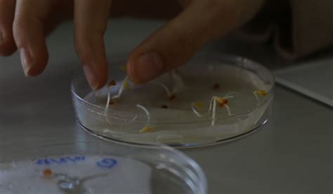 Ciencia Inclusiva En El IES La Senda De Getafe