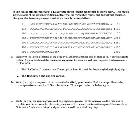 Solved 4 The Coding Strand Sequence Of A Eukaryotic