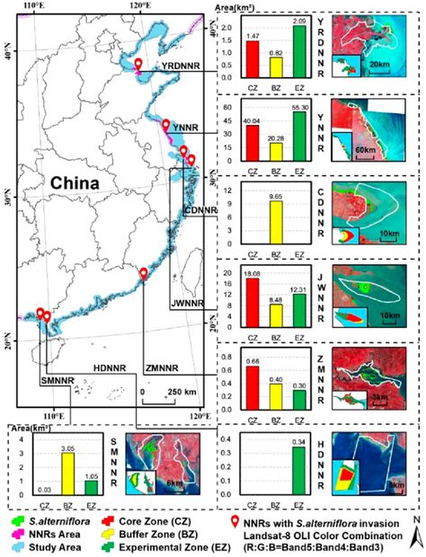 Spatial Distribution Of S Alterniflora And Statistics Of Invasive