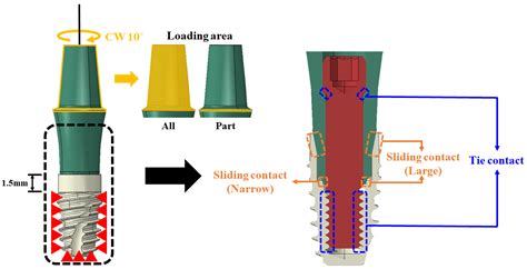 Bioengineering Free Full Text Validation Of The Finite Element