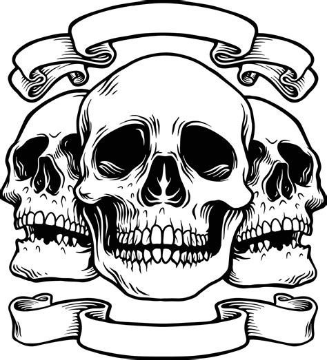 Brotherhood Skull Ribbon Silhouette 11156537 Vector Art At Vecteezy
