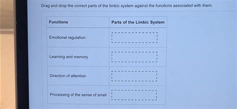 Drag And Drop The Correct Parts Of The Limbic System Chegg Com