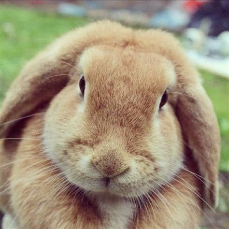 საინტერესო ისტორიები