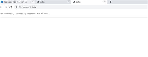 selenium webdriver running a test using pytest xdist is opening