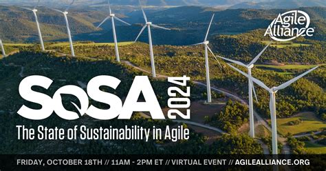 state of sustainability in agile 2024 agile alliance