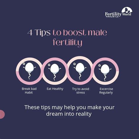 Boost male fertility – Artofit