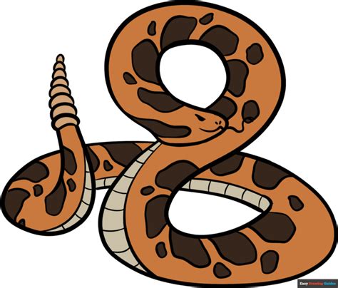 Easy Reptile Drawing Tutorials With Step By Step Drawings