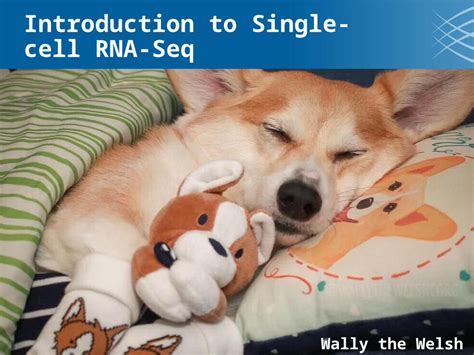 PPTX Introduction To Single Cell RNA Seq DOKUMEN TIPS