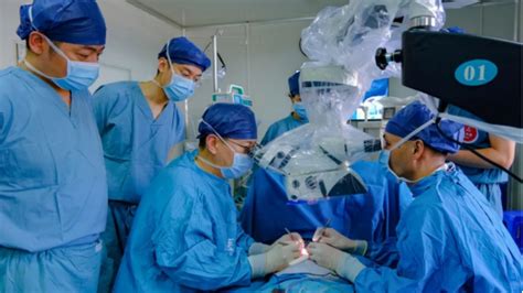 西京医院多基因编辑猪 猴多器官多组织同期移植再获新突破 空军军医大学（第四军医大学）新闻网