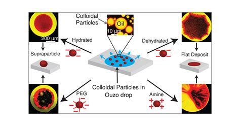 Surface Properties Of Colloidal Particles Affect Colloidal Self Assembly In Evaporating Self