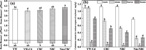 Effects Of Different Biochar On Soybean A Soybean Biomass B Cd