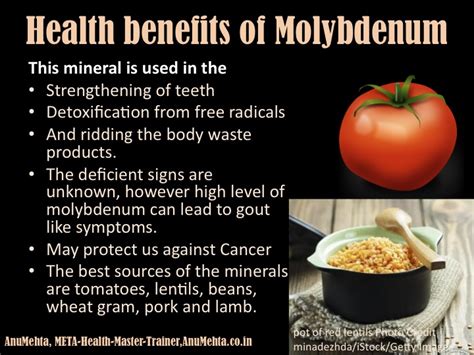 Molybdenum Uses In The Body