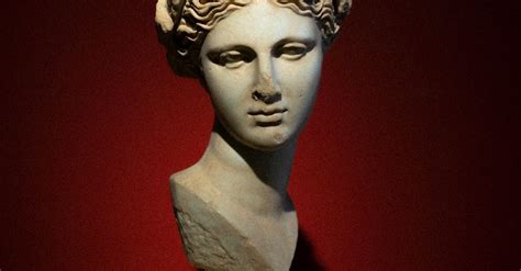 갤러리 걸작 고고학 고대의 골동품 구성 구슬 그리스 사람 그림자 돌 동상 로마 머리 문화 문화 유산 미술 미술사 박물관 박물관 전시 받침대