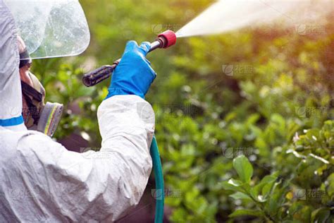 农业工人穿着防护服在农田里喷洒农药、杀虫剂或熏蒸剂，病虫害防治。杂草杀虫剂熏蒸。有机生态农业。喷