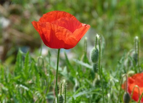 For Pleasure By Ellen M 500px