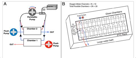 Pumping Circuits A Pairs Of Chambers In The High Throughput