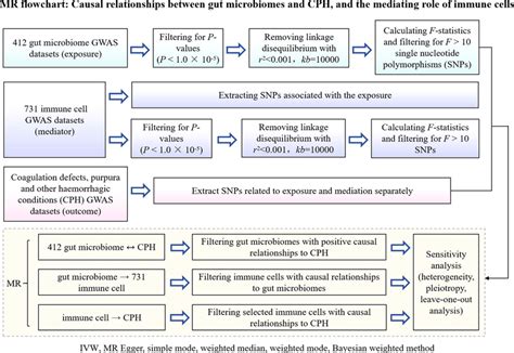 Flowchart Of Mr Analysis For The Causal Relationship Between Gut