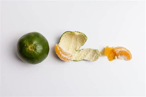 Orange Background 감귤류 건강한 건강한 식생활 고립된 과일 과일 사진 과즙이 많은 구성 그림자
