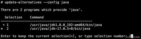 Linux如何配置多个java版本 Linux安装多个jdkmob6454cc6bf0b7的技术博客51cto博客
