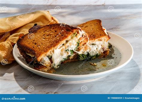 Toasted Chicken Mozzarella Sandwich Stock Image Image Of Sandwich Kitchen 198880059