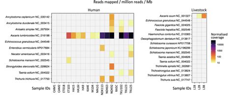 Estimation Of The Relative Abundance Of Human And Livestock Infective Download Scientific