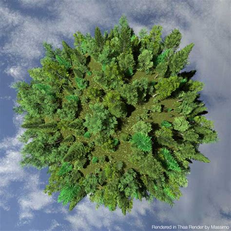 48 3d Trees For Sketchup Sketchucation