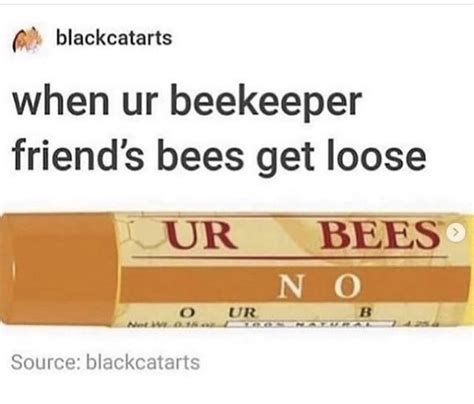 Not The Bees R Beeswarmsimulator