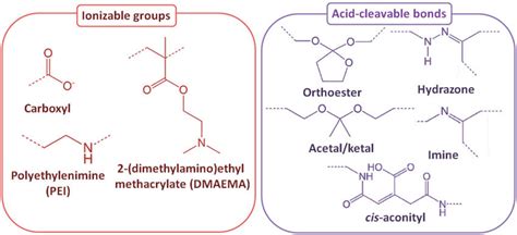 Chemical Structures Of Some Ph Responsive Groups Download Scientific Diagram