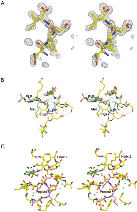 A Unbiased F O Ϫ F C Electron Density Corresponding To The Last Four