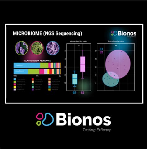Comprehensive Human Skin Microbiome Analysis Through Next Generation Sequencing Ngs By Bionos