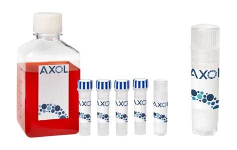 Ipsc诱导多能干细胞全流程解决方案上海曼博生物医药科技有限公司