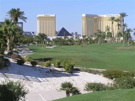 6 Best Grass Types For Las Vegas Wikilawn
