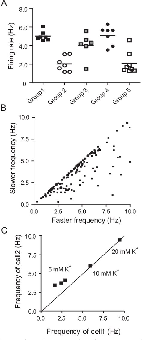 Figure From Coordinated Synchronization In The Electrically Coupled Network Of Terminal Nerve